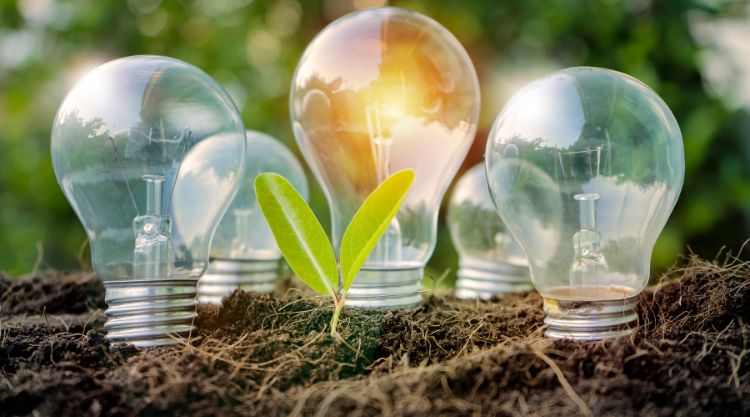 Environmental Science: The Role of Renewable Energy in Combating ...